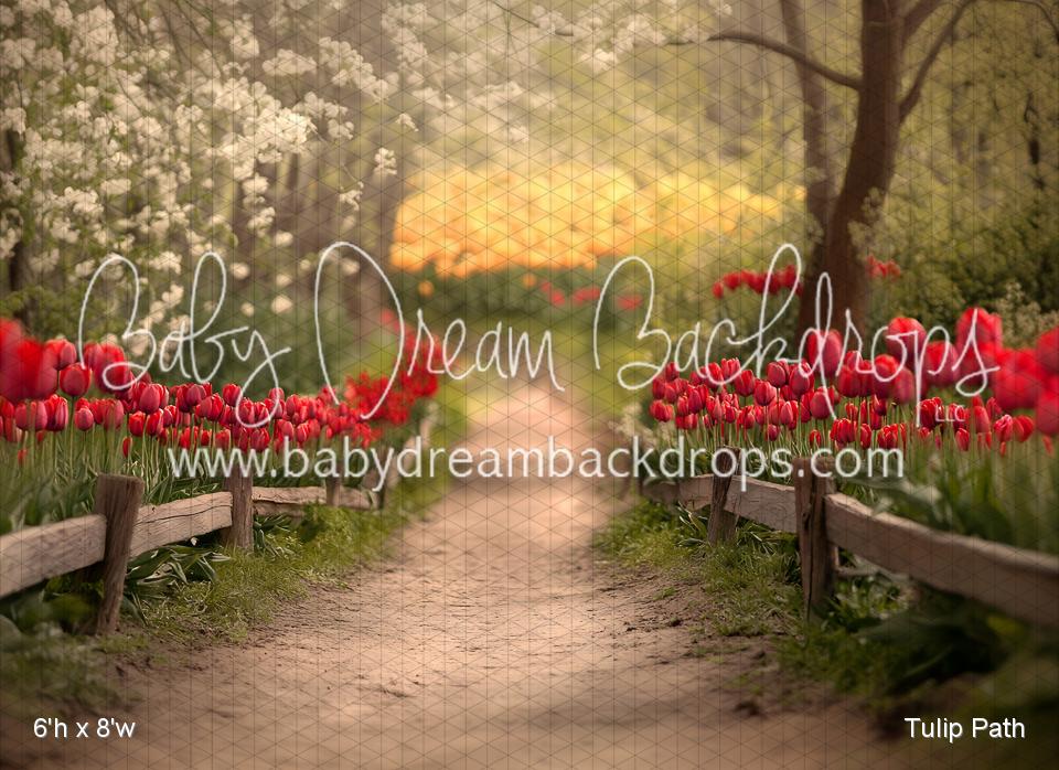 Tulip Path (VR) – Fine Art Dream Drops